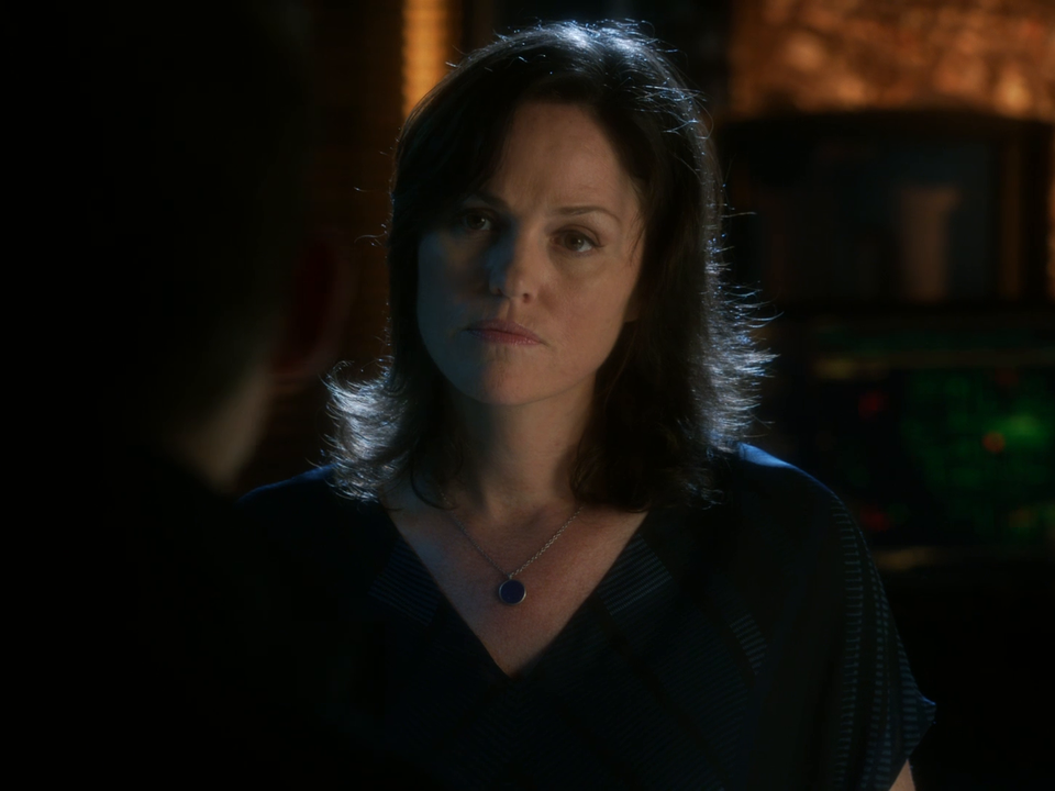 Prime Video: CSI: Crime Scene Investigation - Season 15