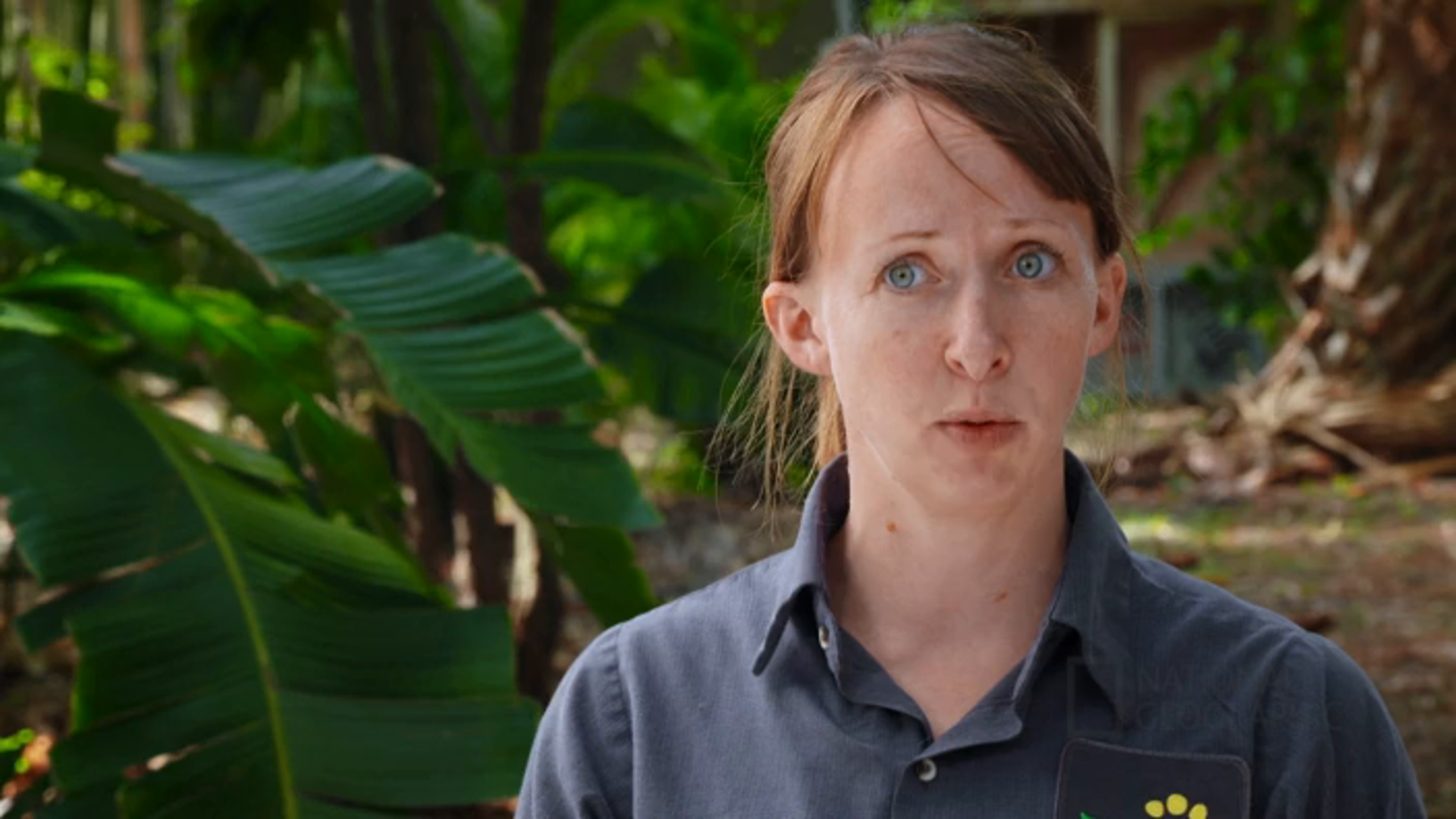 Prime Video: Secrets of the Zoo: Tampa - Season 2