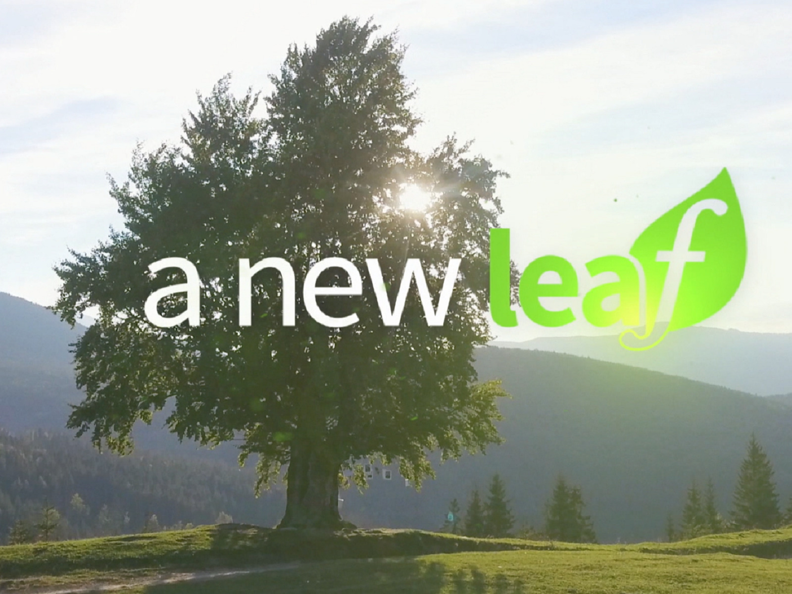 Prime Video: A New Leaf