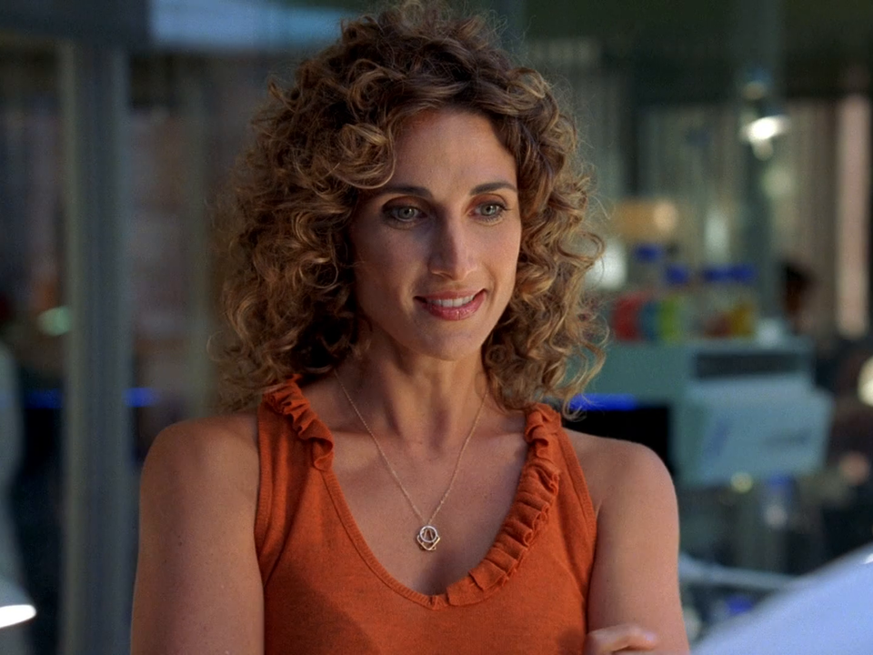 Prime Video: CSI: New York Season 4