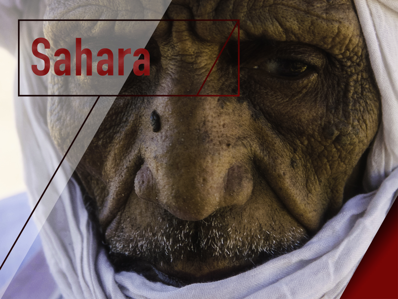 Prime Video: Sahara