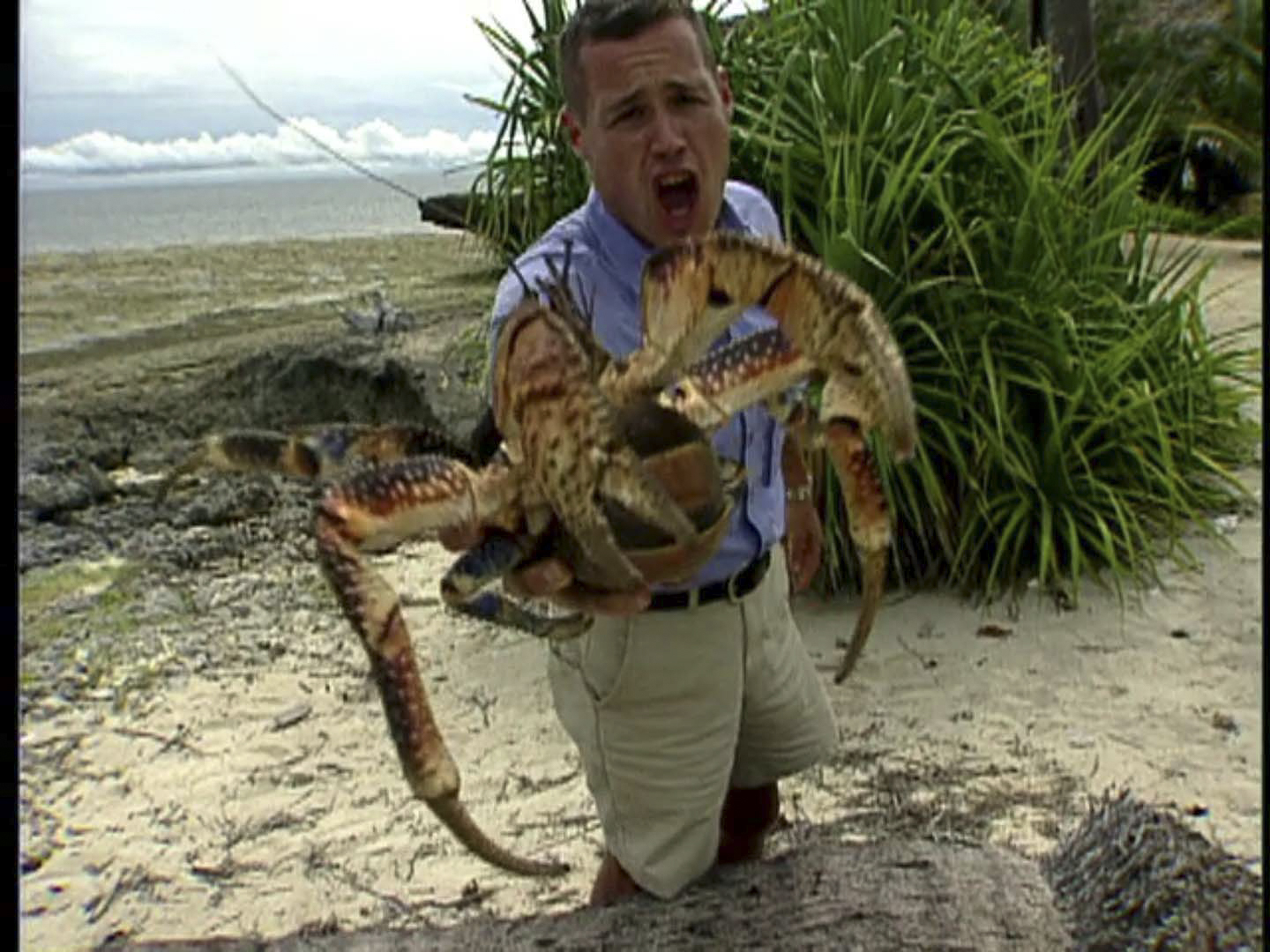 Prime Video: The Jeff Corwin Experience - Season 2