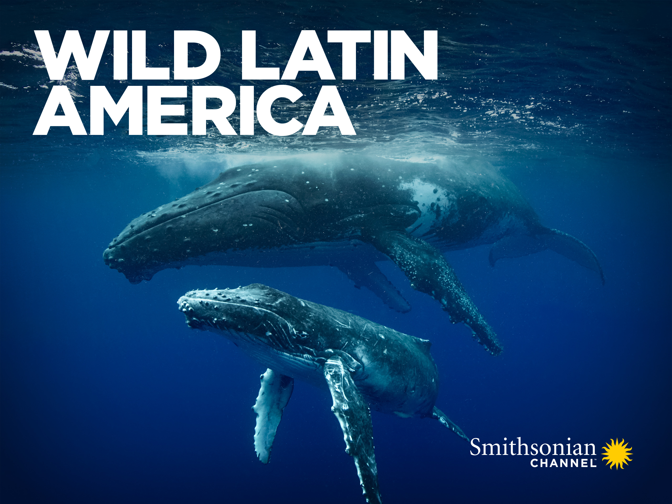 Prime Video: Wild Latin America, Season 1