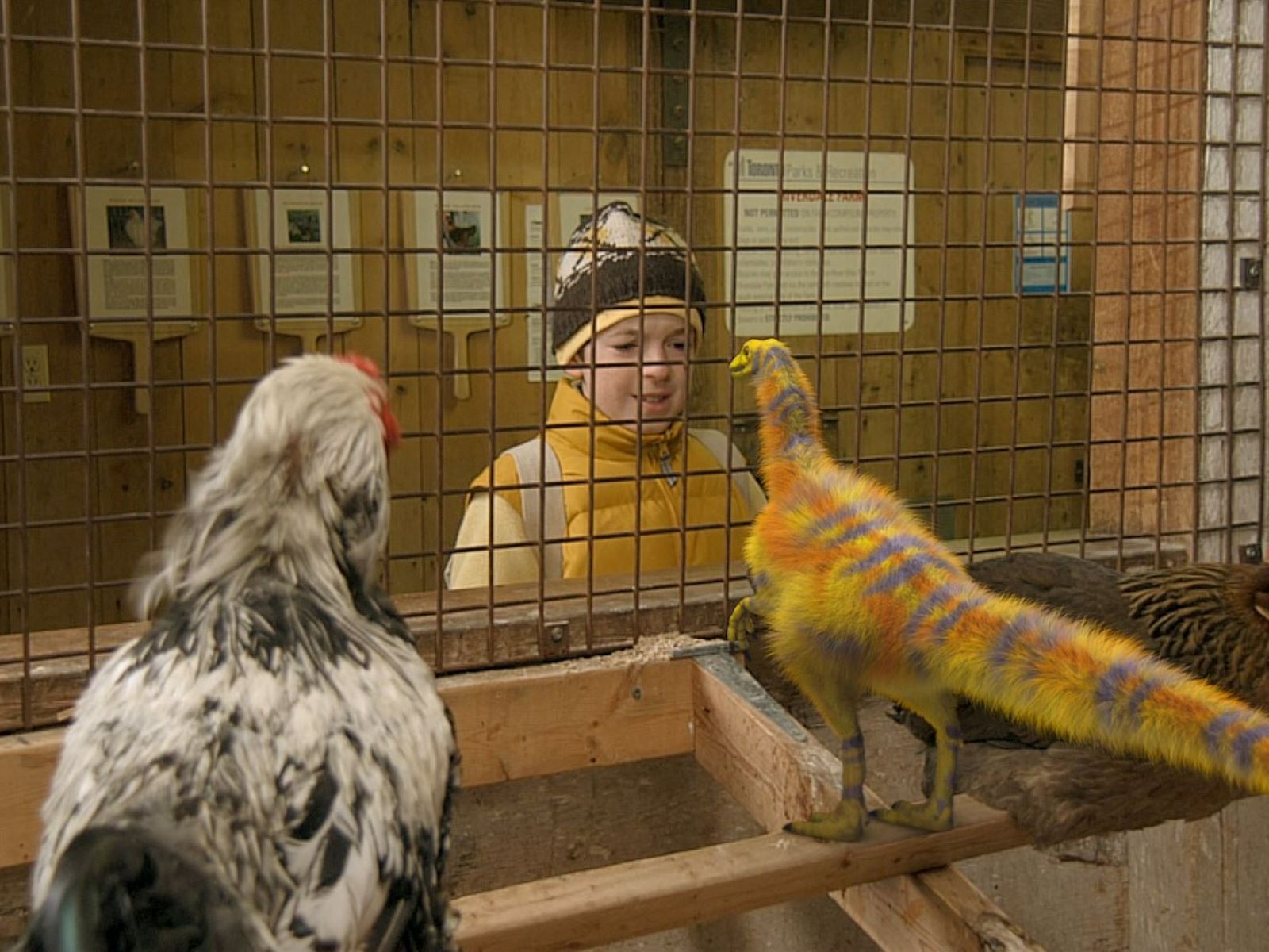 Prime Video: Dino Dan: Trek's Adventures