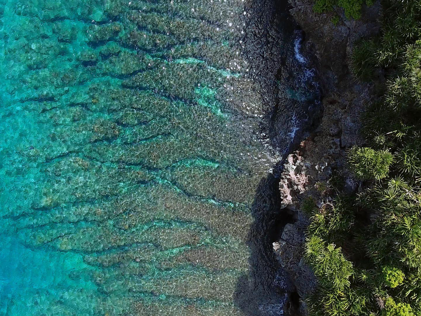 Prime Video: Australia's Hidden Islands - Season 1