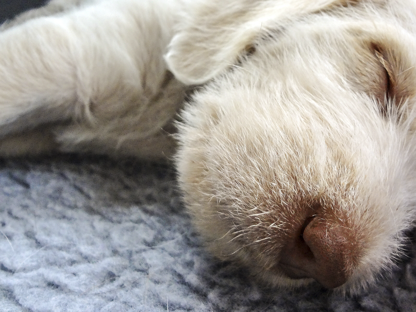 Prime Video: Too Cute! - Season 5