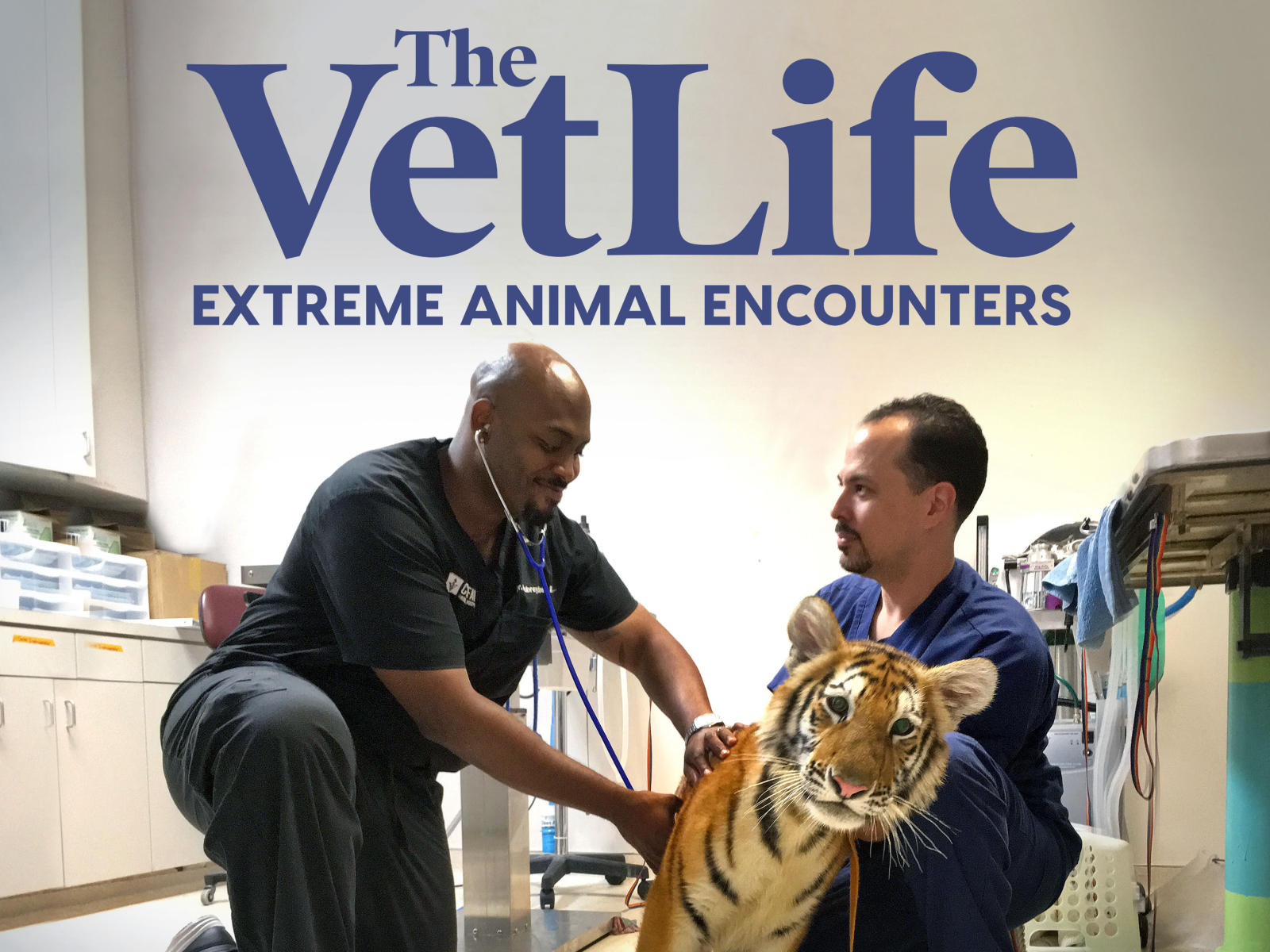 Prime Video: The Vet Life: Extreme Animal Encounters - Season 1