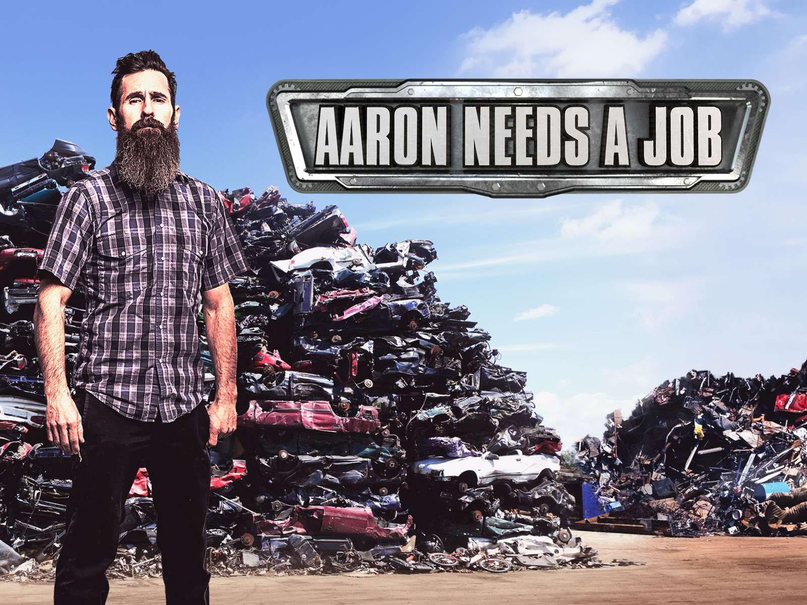 Prime Video: Aaron Needs a Job - Season 1