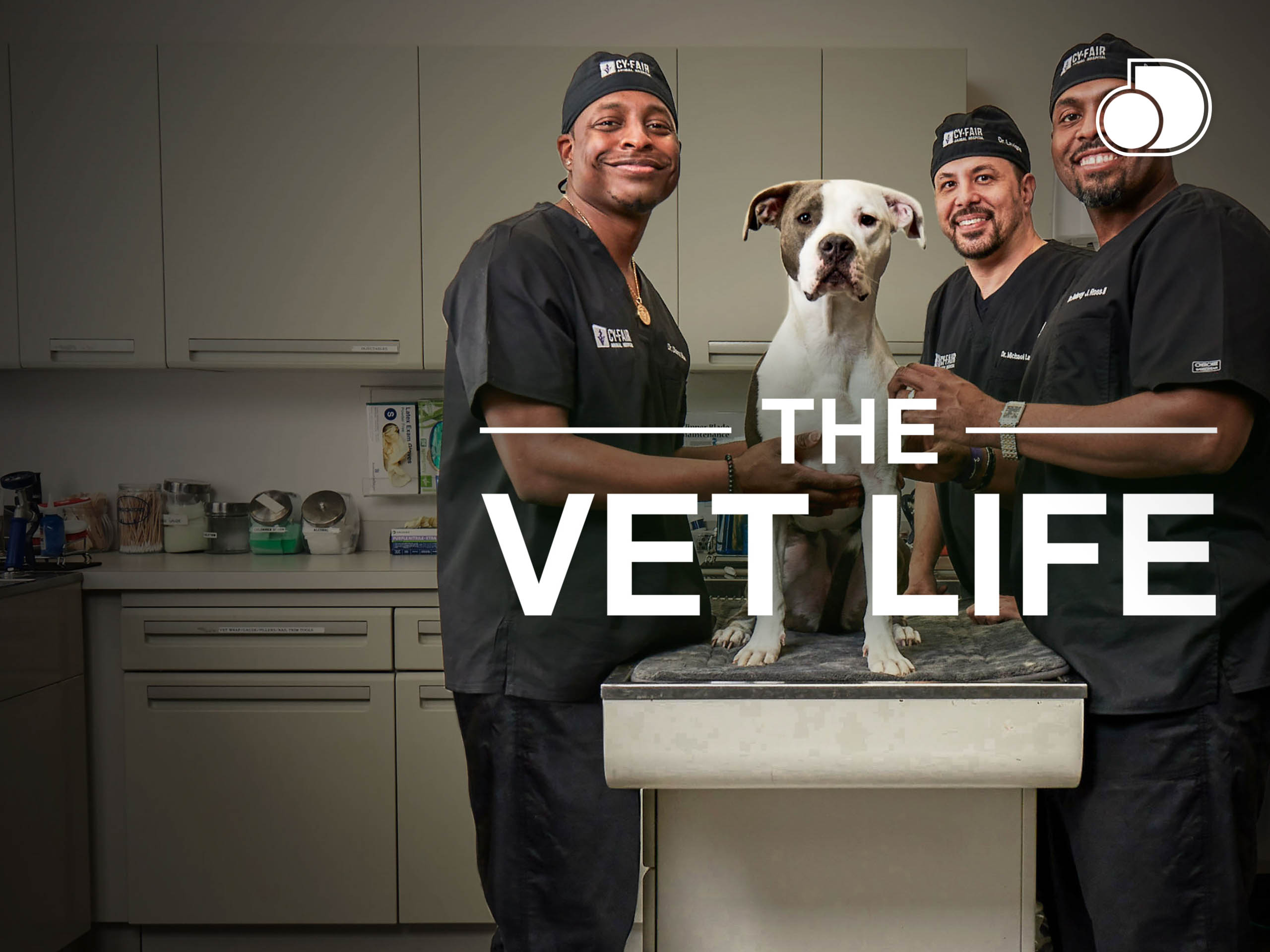 Prime Video: The Vet Life - Season 4