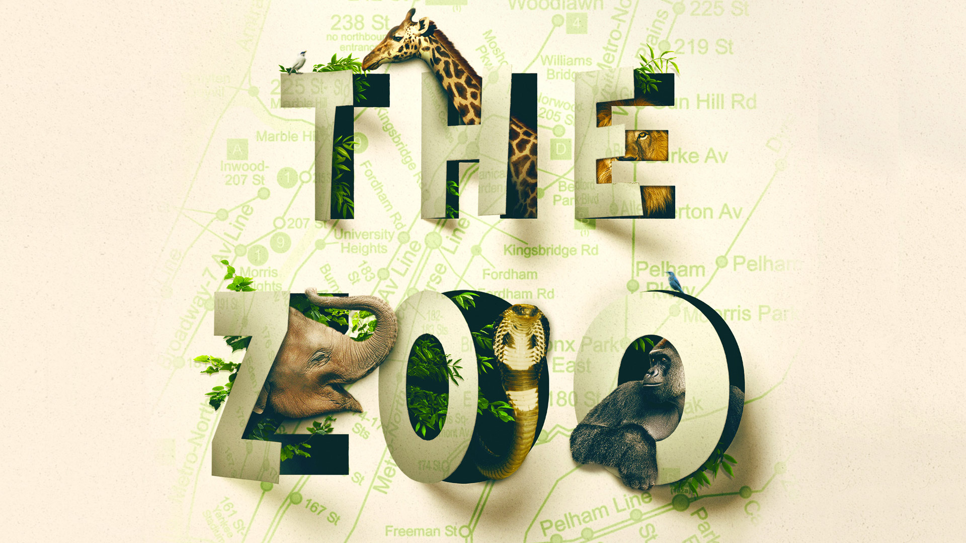 Watch Secrets of the Zoo Season 3 | Prime Video