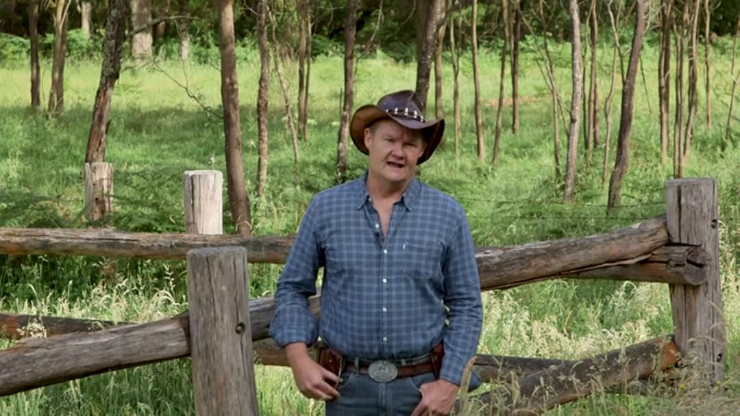 Prime Video: Morgan The Bushranger