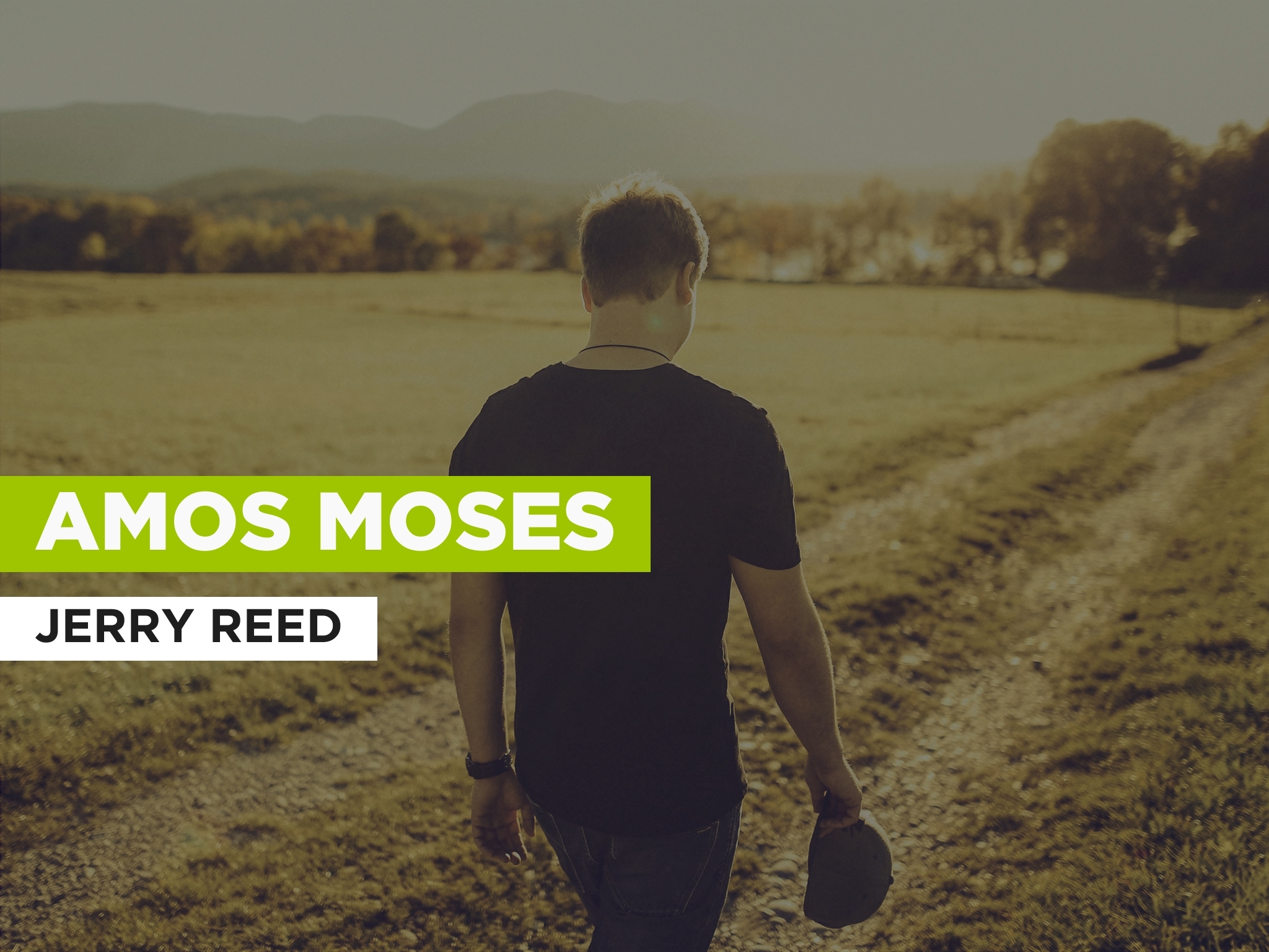 Jerry Reed Amos Moses: Jerry Reed Allformusic – GSET