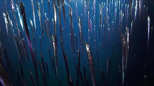 Prime Video: Aphotic Zone