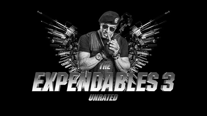 The Expendables 3 Logo