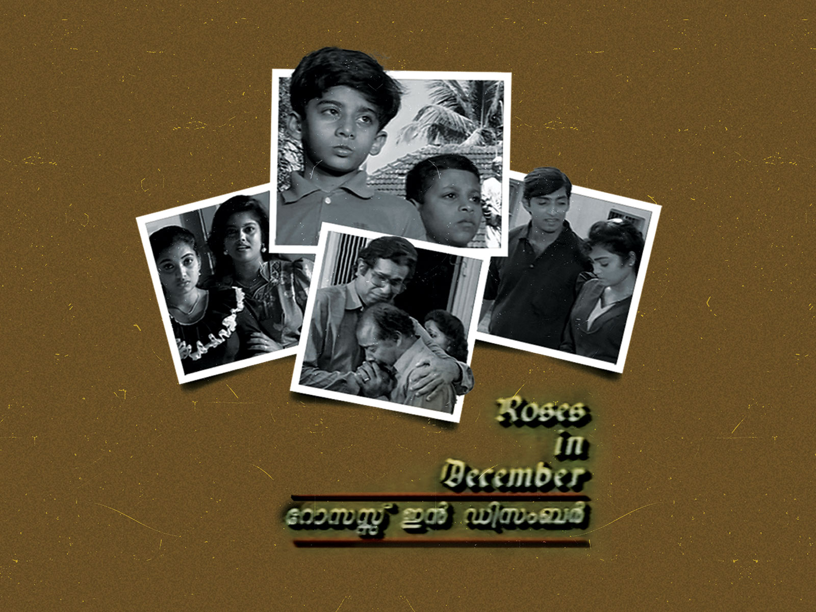 Prime Video: Roses in December Season 1