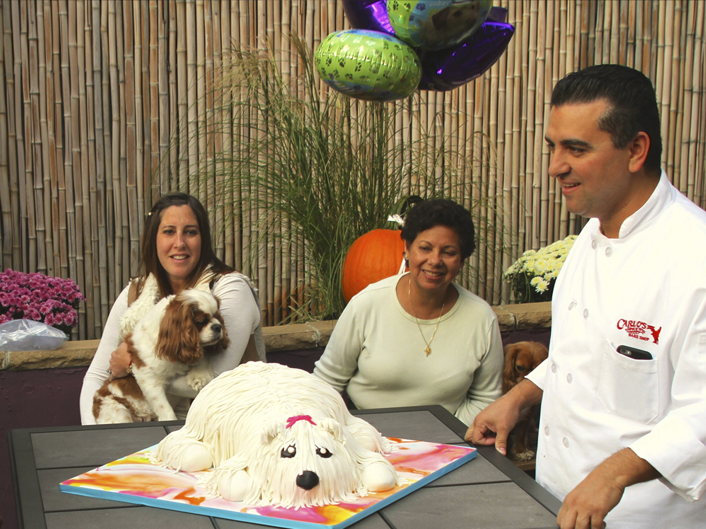 Prime Video: Cake Boss - Season 13