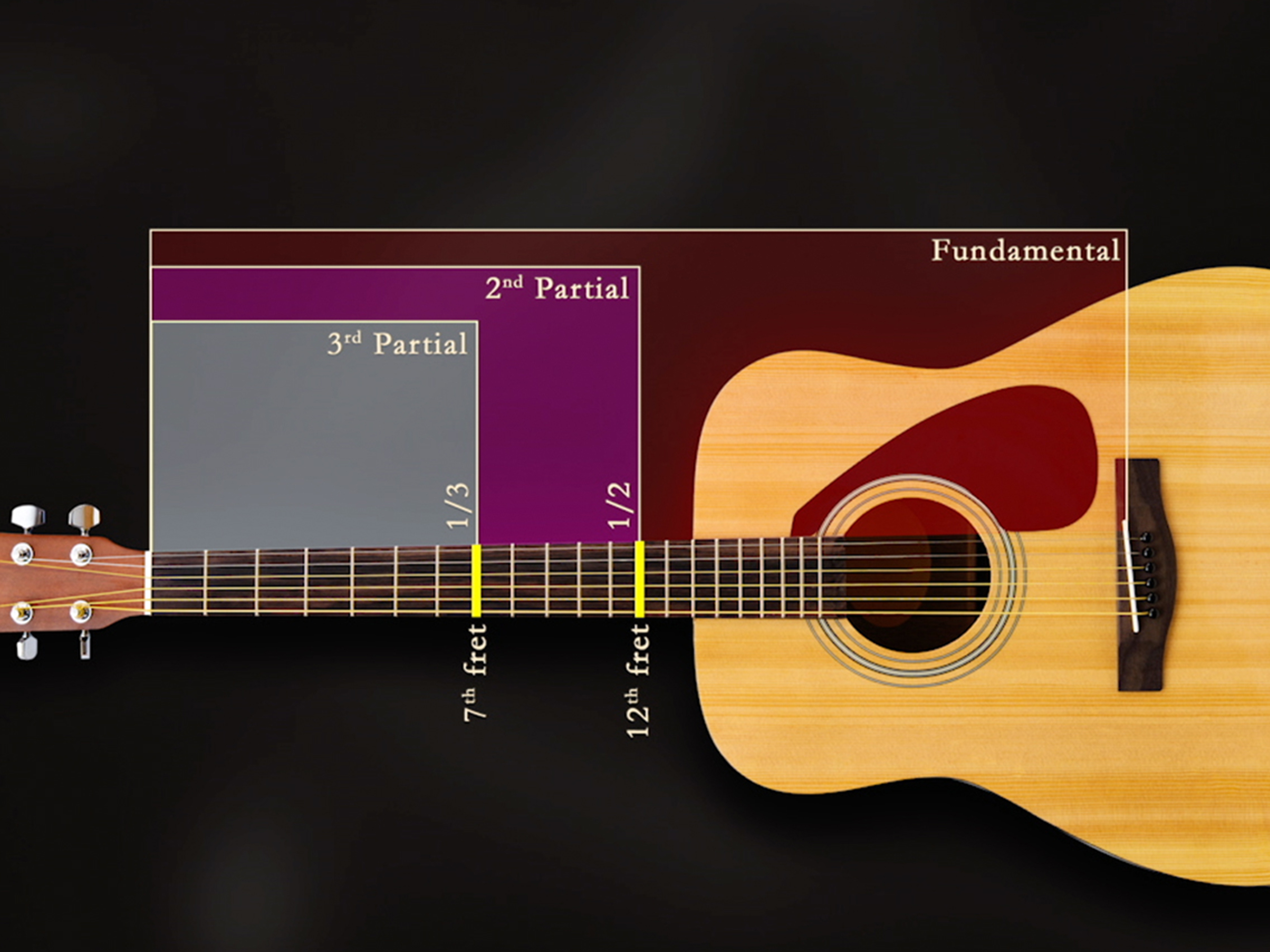 Prime Video: Learning to Play Guitar: Chords, Scales, and Solos
