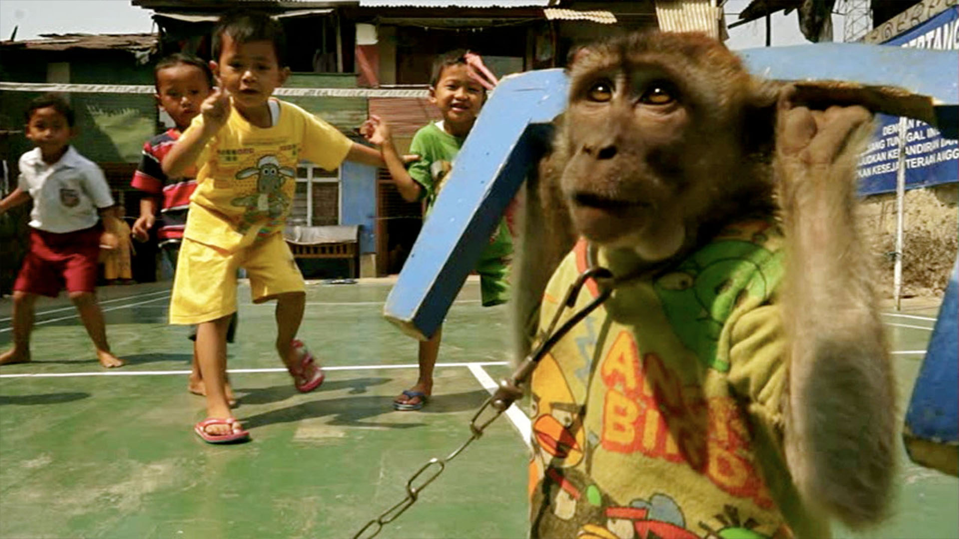 Prime Video: Masked Monkey