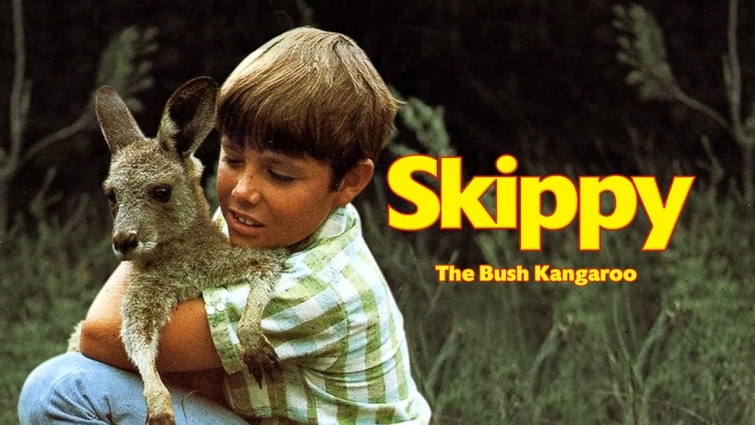 Watch Skippy: The Bush Kangaroo | Prime Video