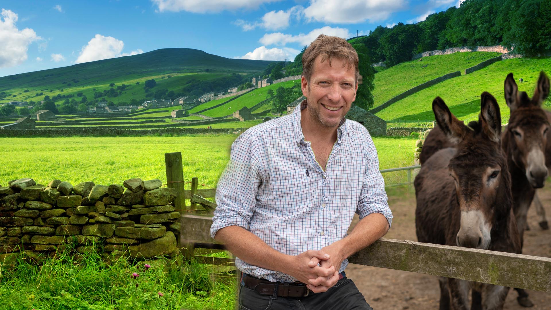Prime Video: The Yorkshire Vet