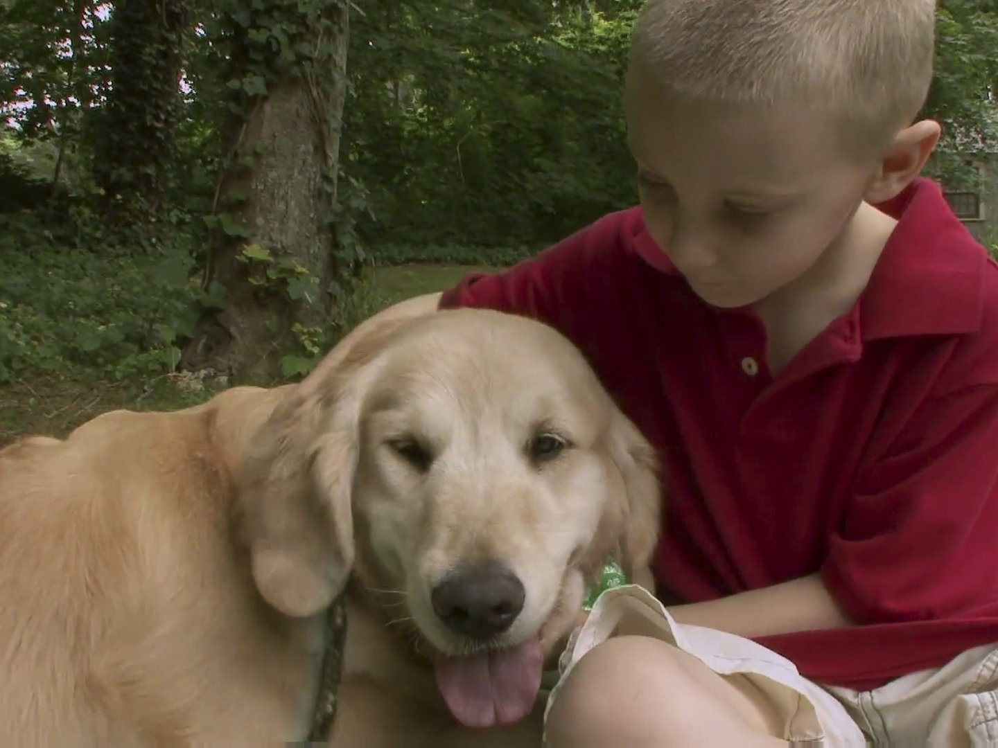 Prime Video: Dogs 101: New Tricks - Season 1