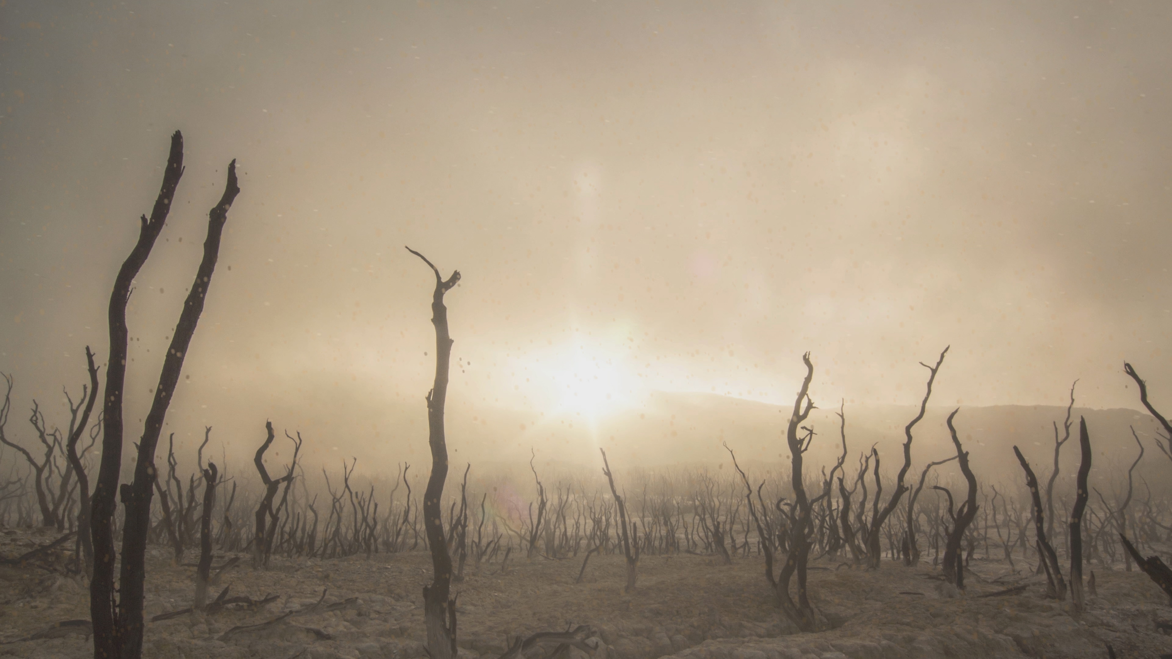 Prime Video: The Next Great Extinction Event
