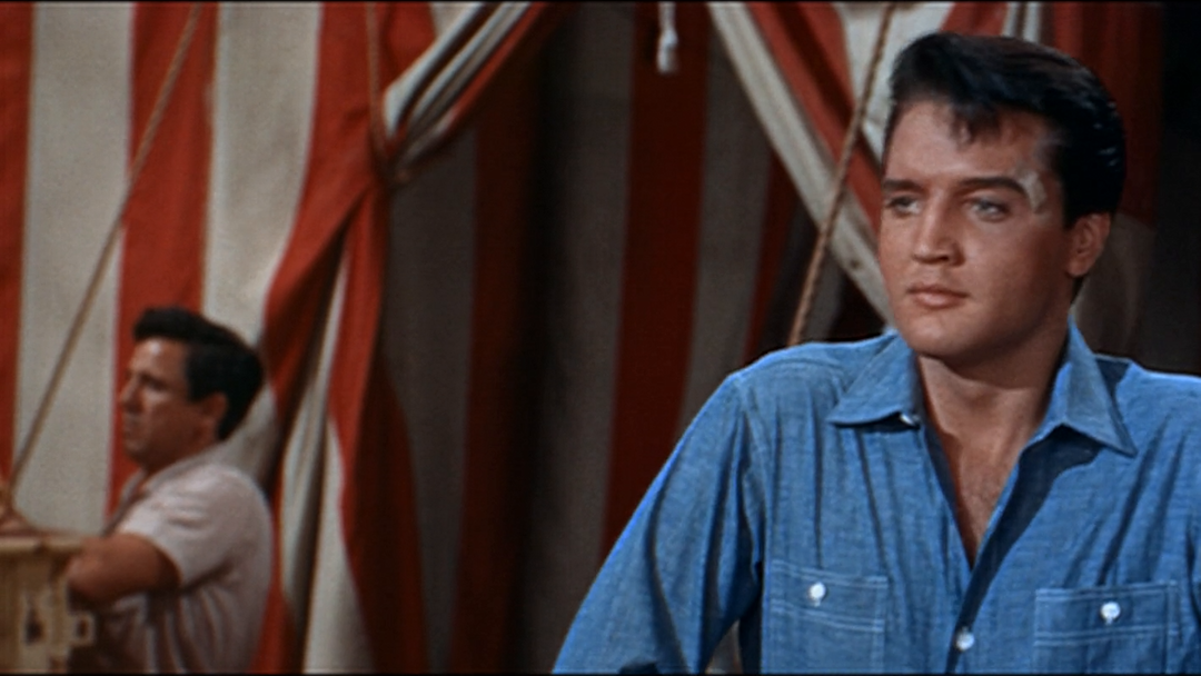 Prime Video: ROUSTABOUT