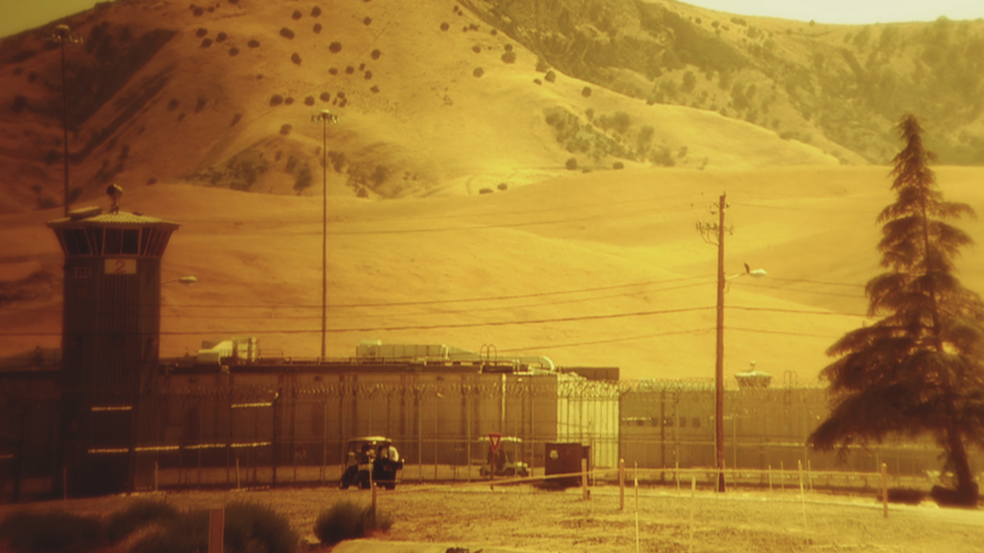 Prime Video: Survivors Guide to Prison