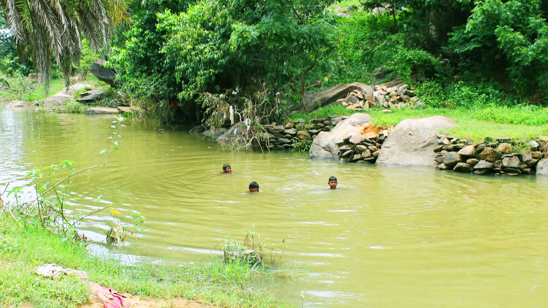 Prime Video: Tailing Pond