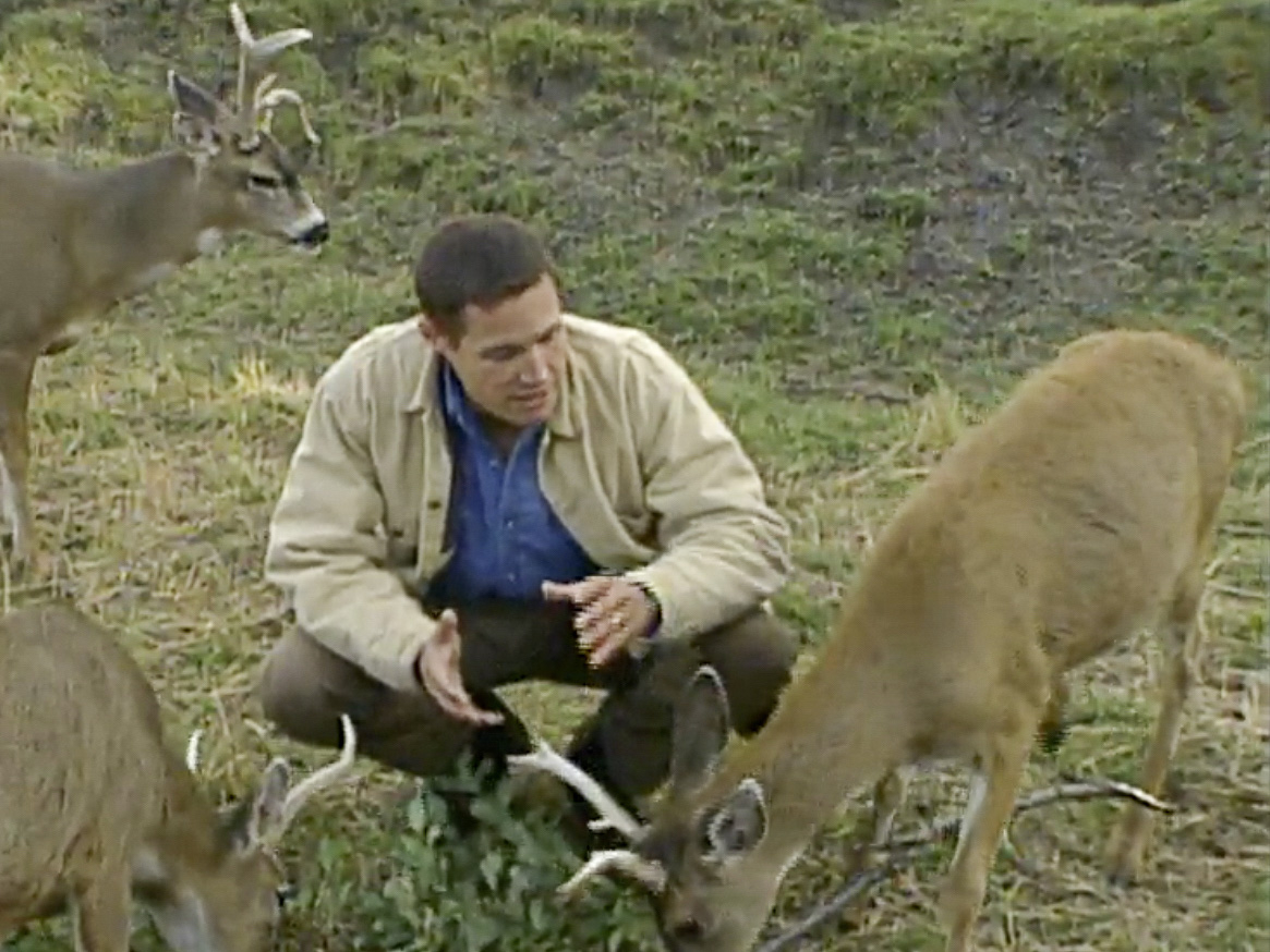 Prime Video: The Jeff Corwin Experience - Season 1
