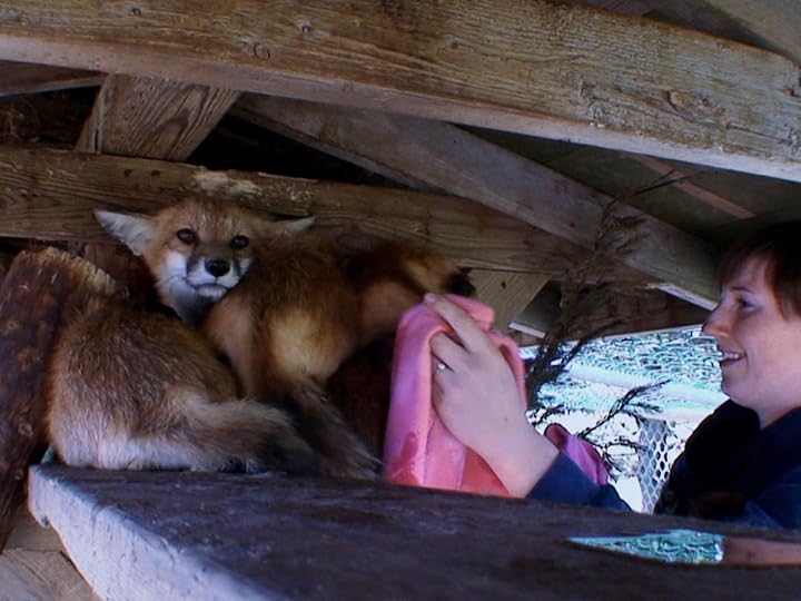 Prime Video: Hope for Wildlife - Season 1