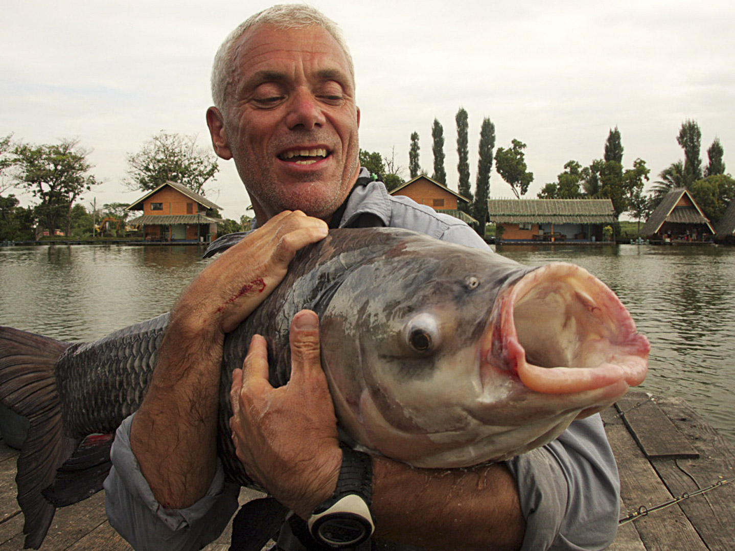 Prime Video: Monstros do Rio - Season 2