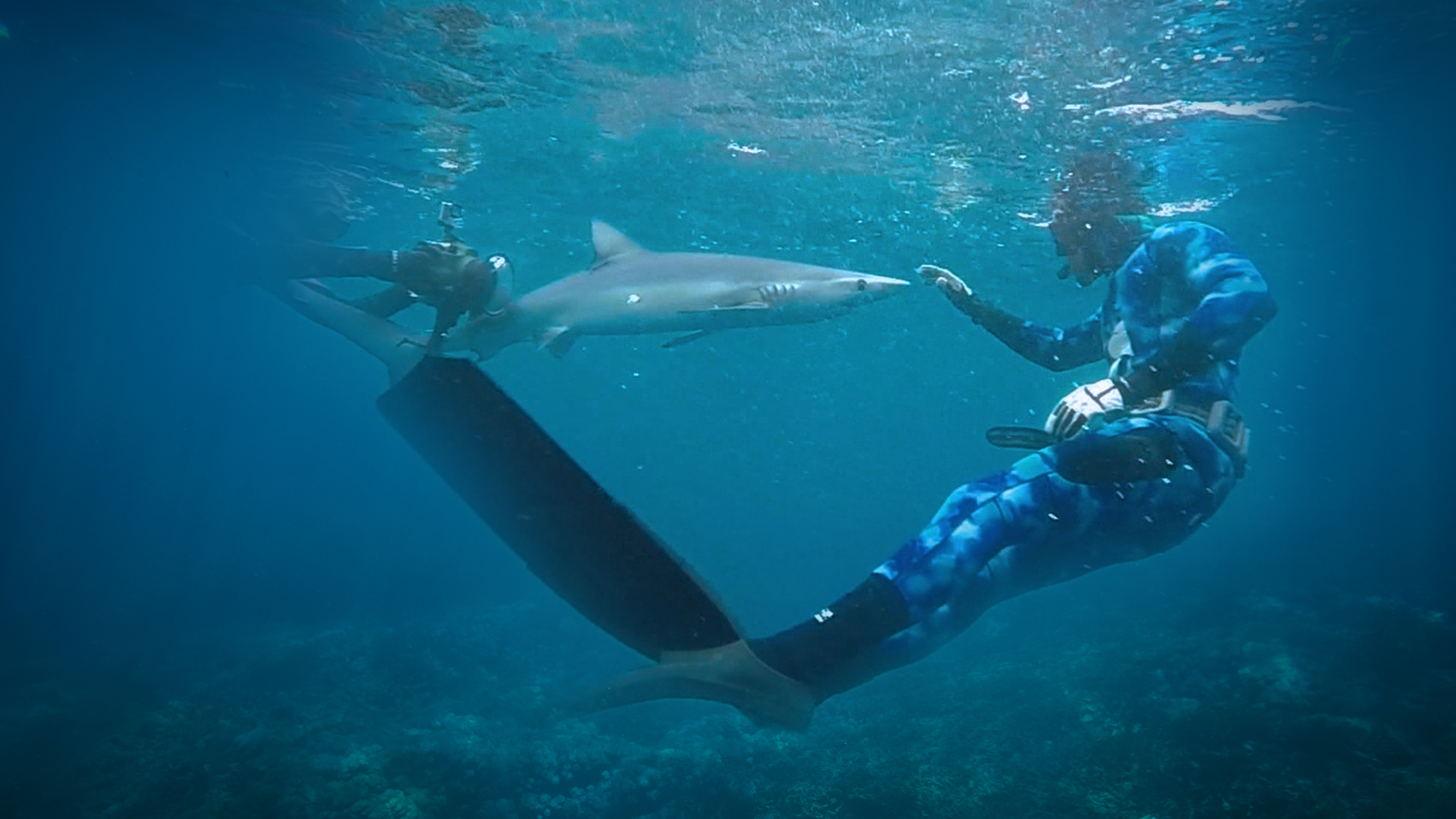 Prime Video: Shark Man