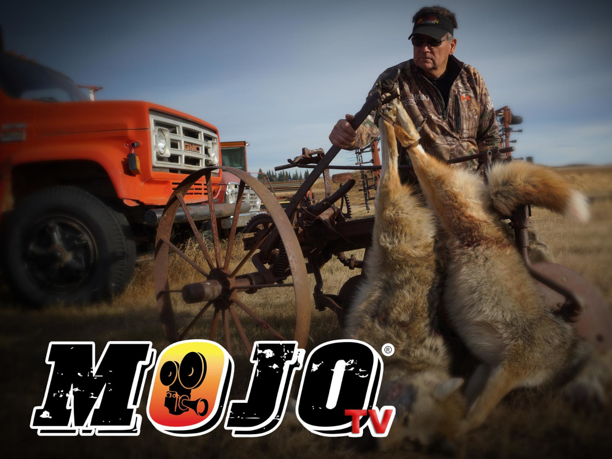 Prime Video: Mojo TV - Season 9