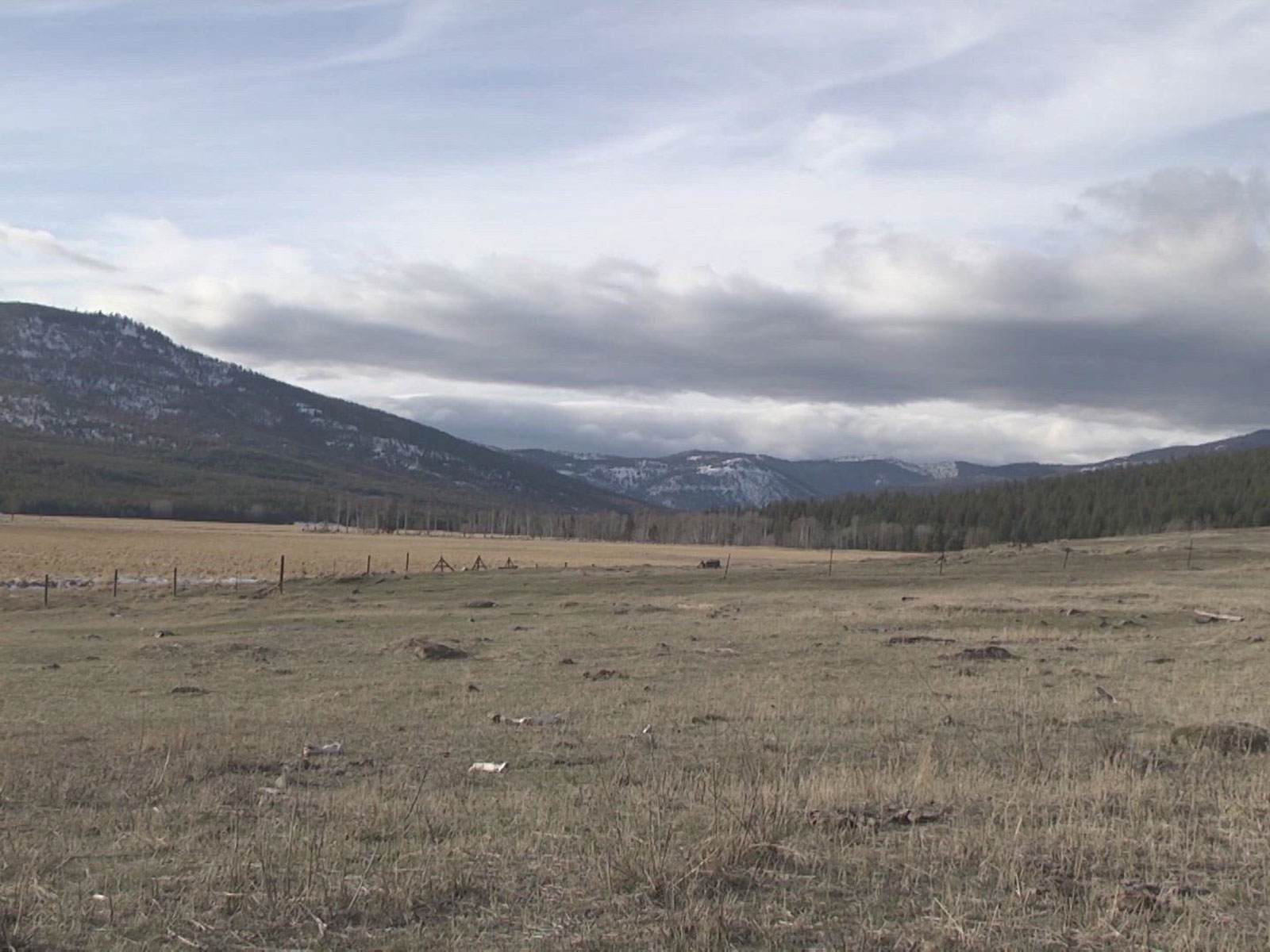 Prime Video: North American Trapper - Season 2