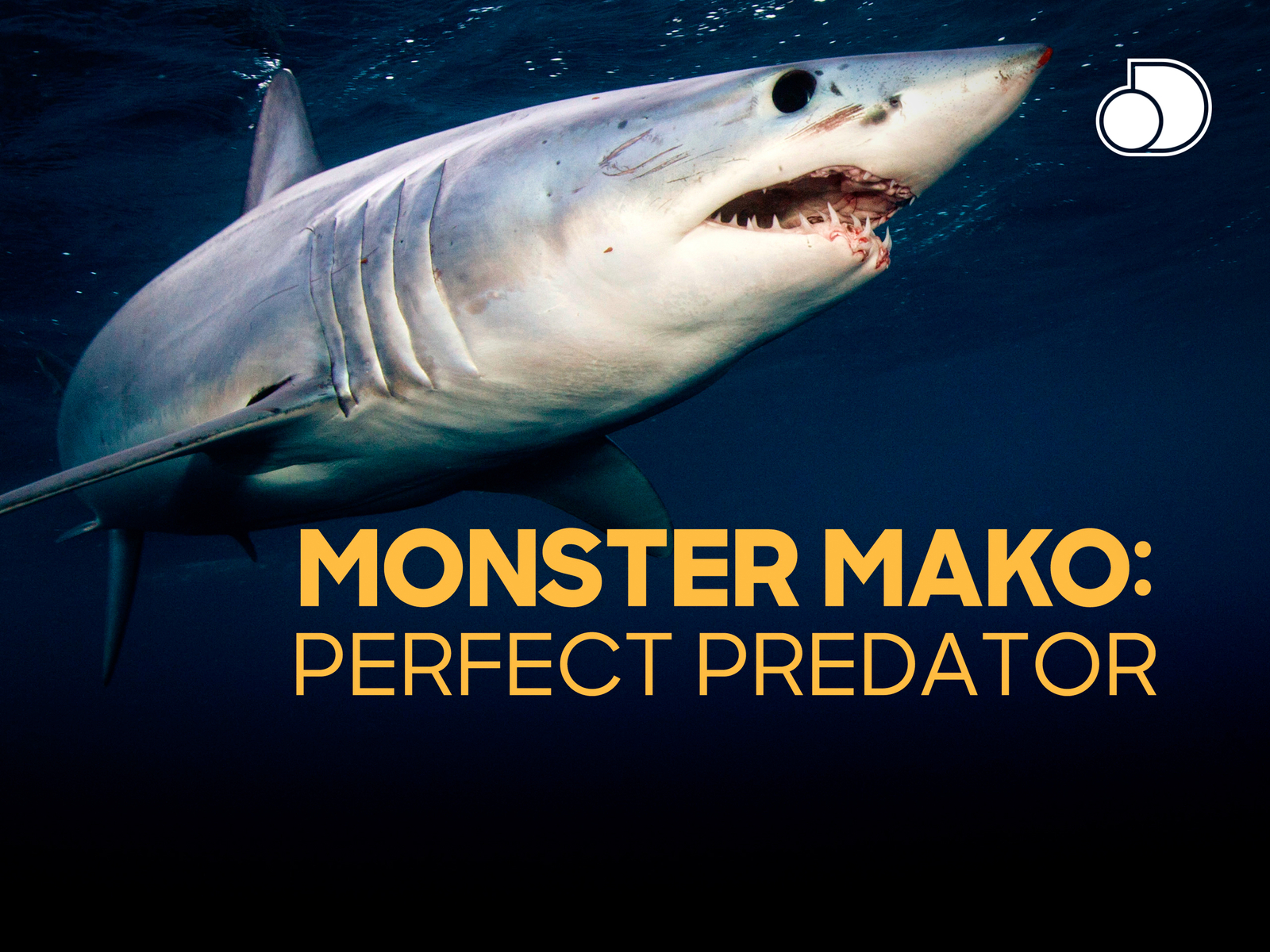 Prime Video: Monster Mako 3 - Season 1