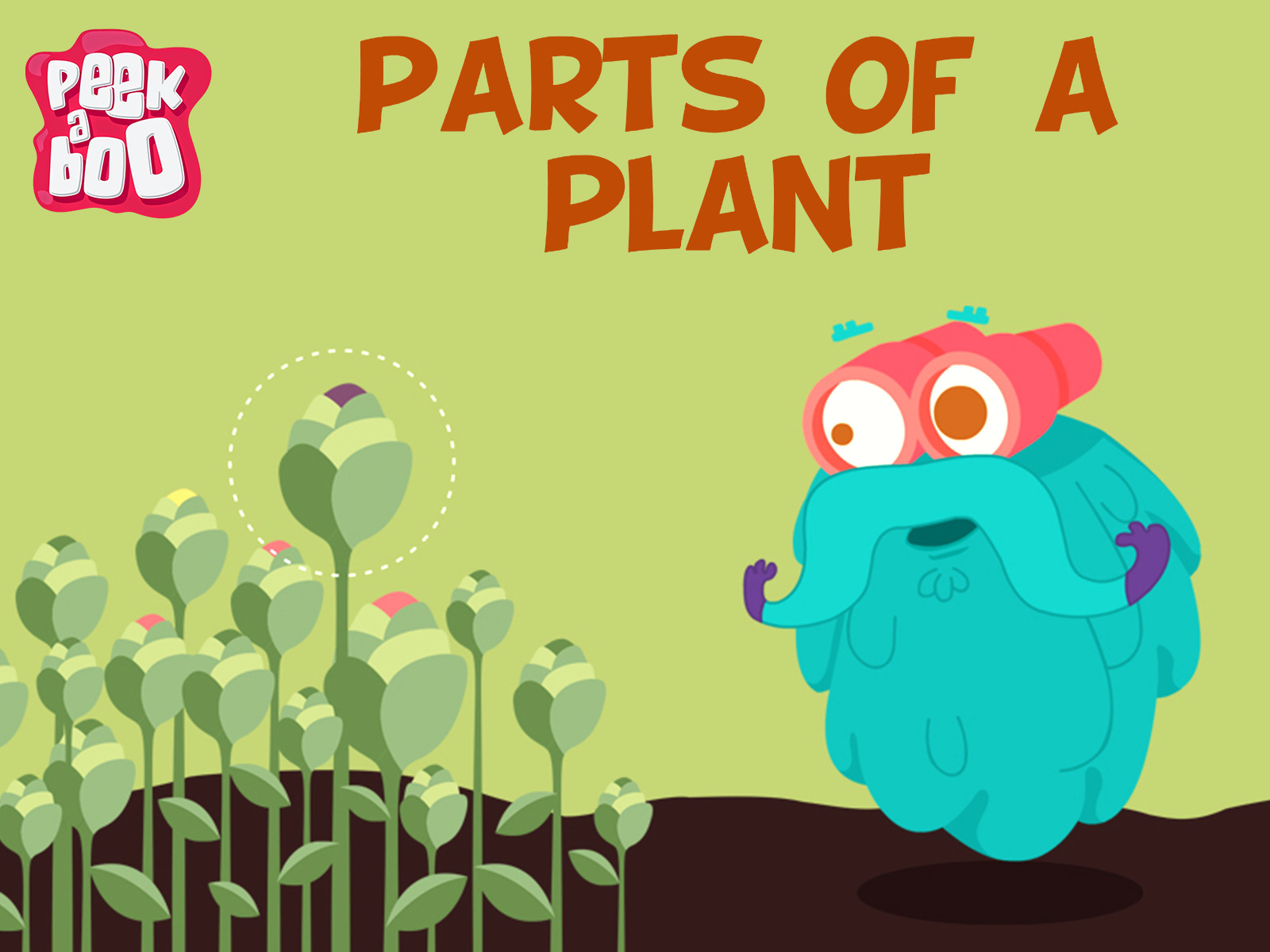 Prime Video: Dr. Binocs Show Educational Videos For Kids