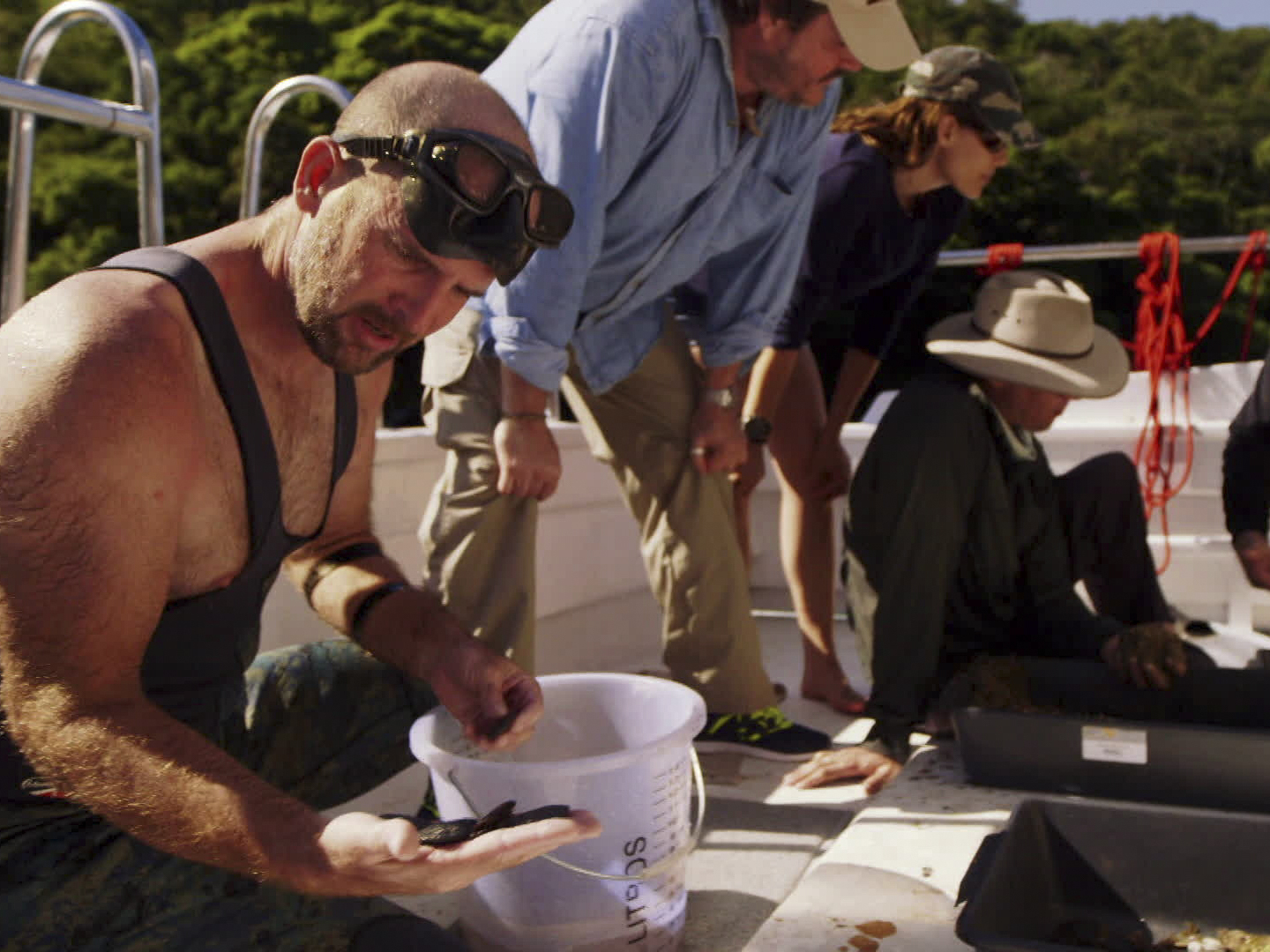 Prime Video: Treasure Quest: Snake Island - Season 1