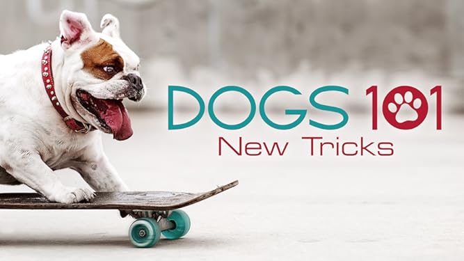 Watch Dogs 101 - Season 1 | Prime Video