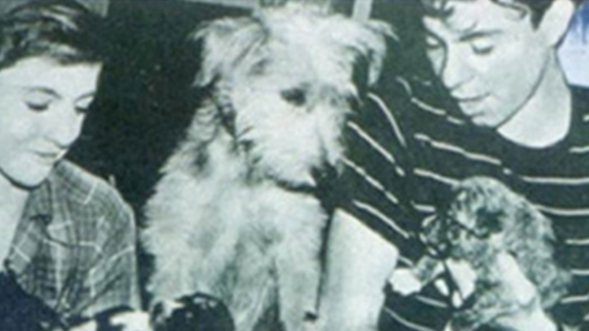 Prime Video: The Great Mike