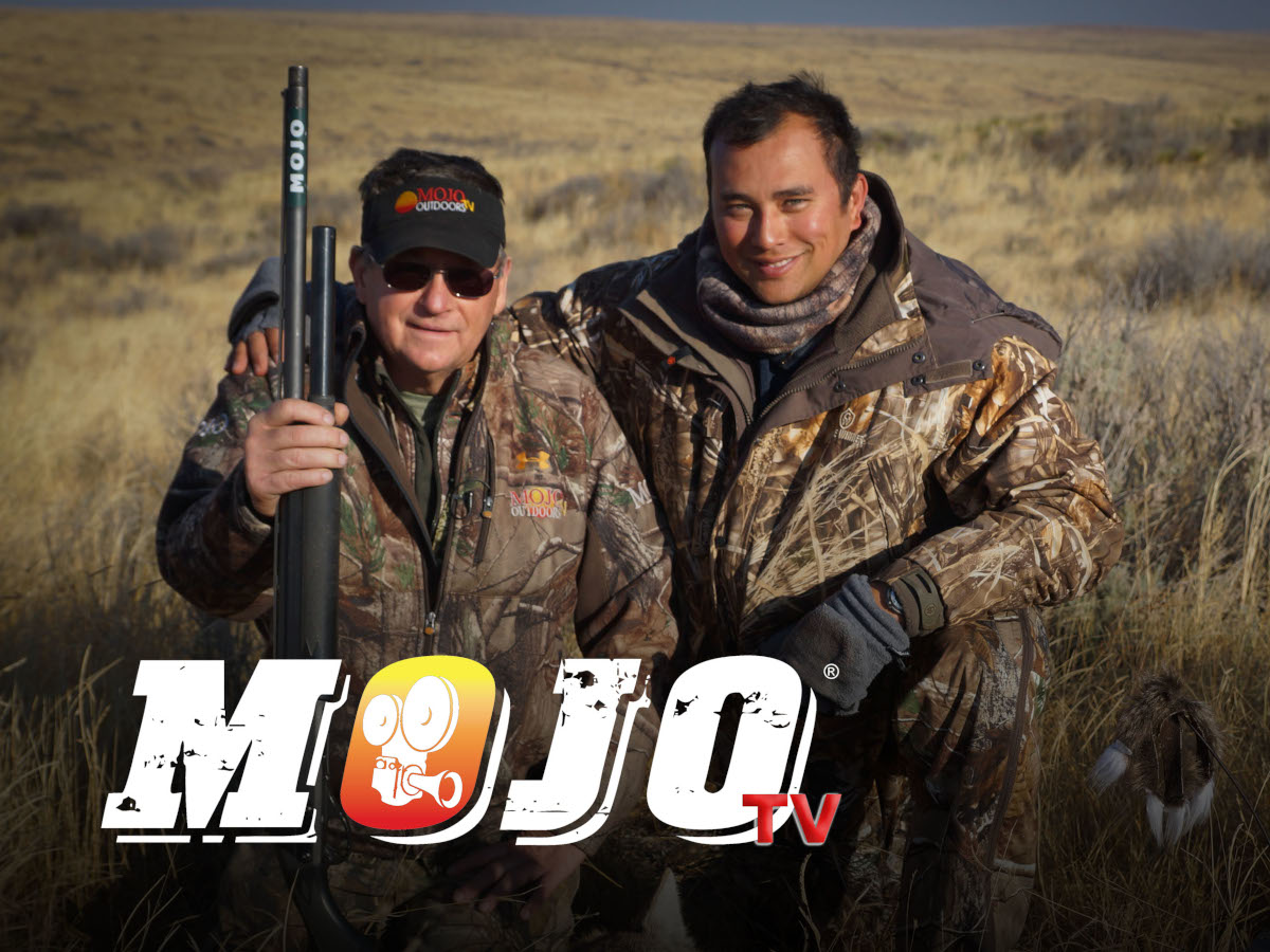 Prime Video: Mojo TV - Season 16