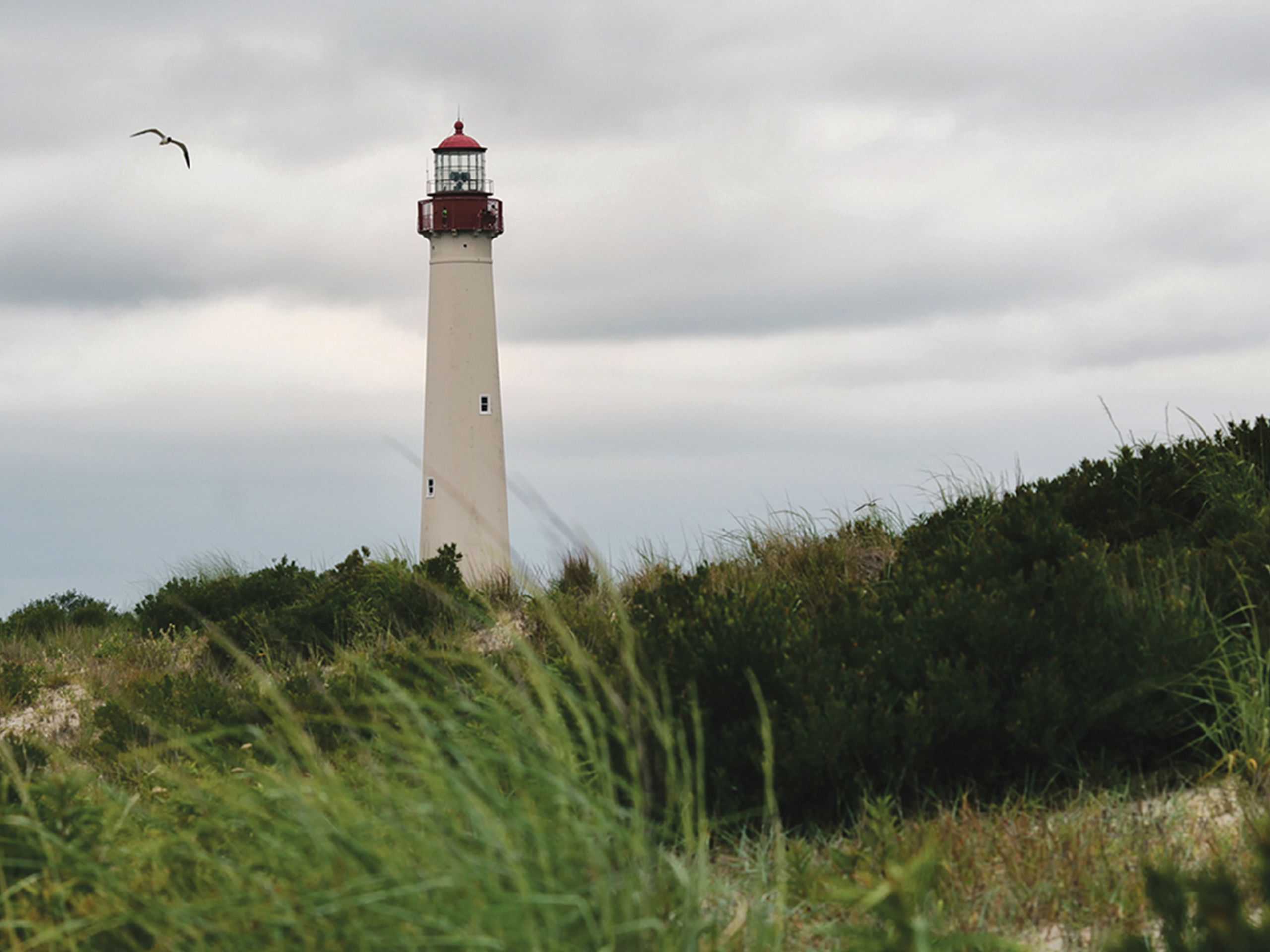 Prime Video: The National Geographic Guide to Birding in North America