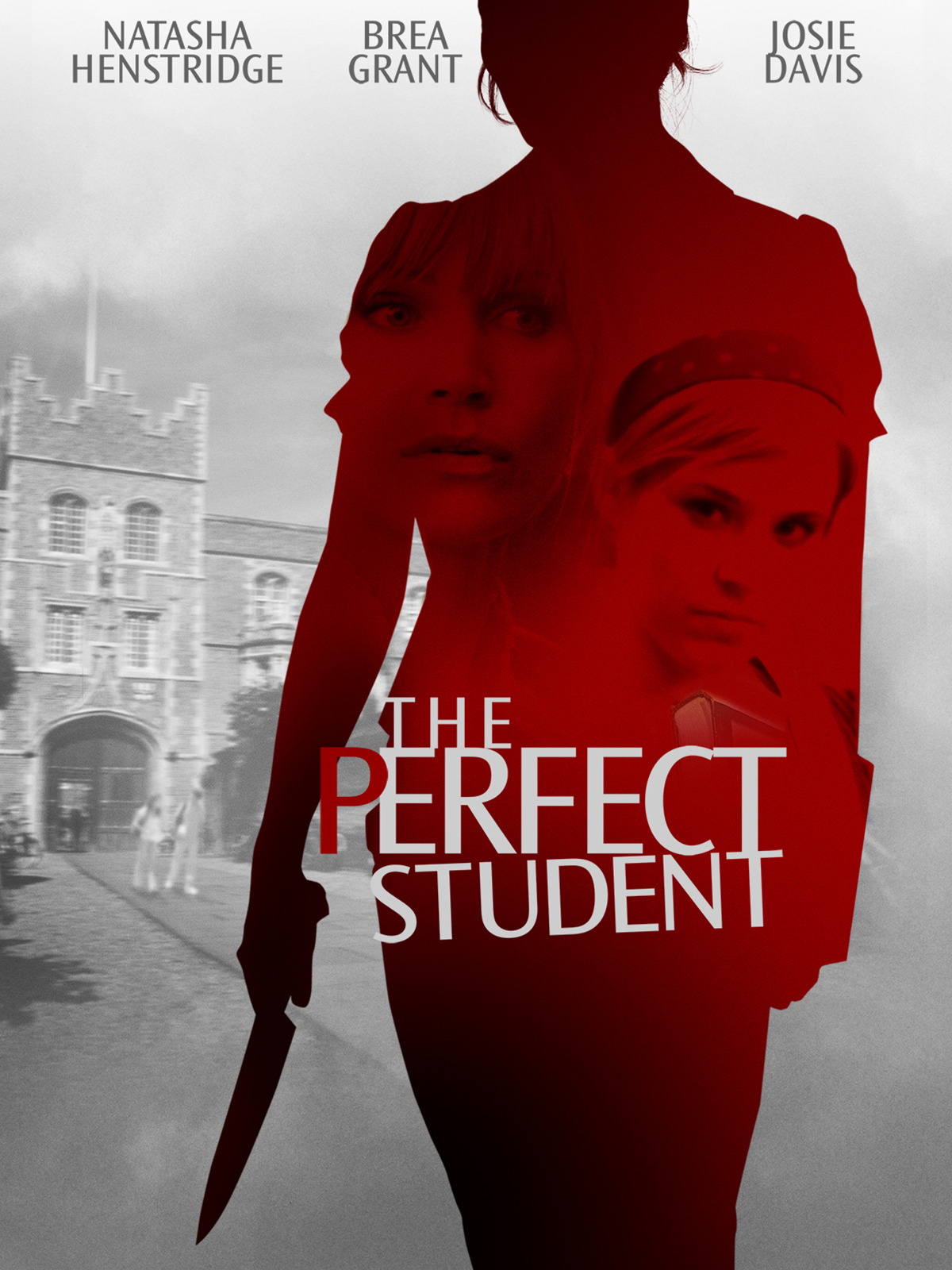 Prime Video: The Perfect Student