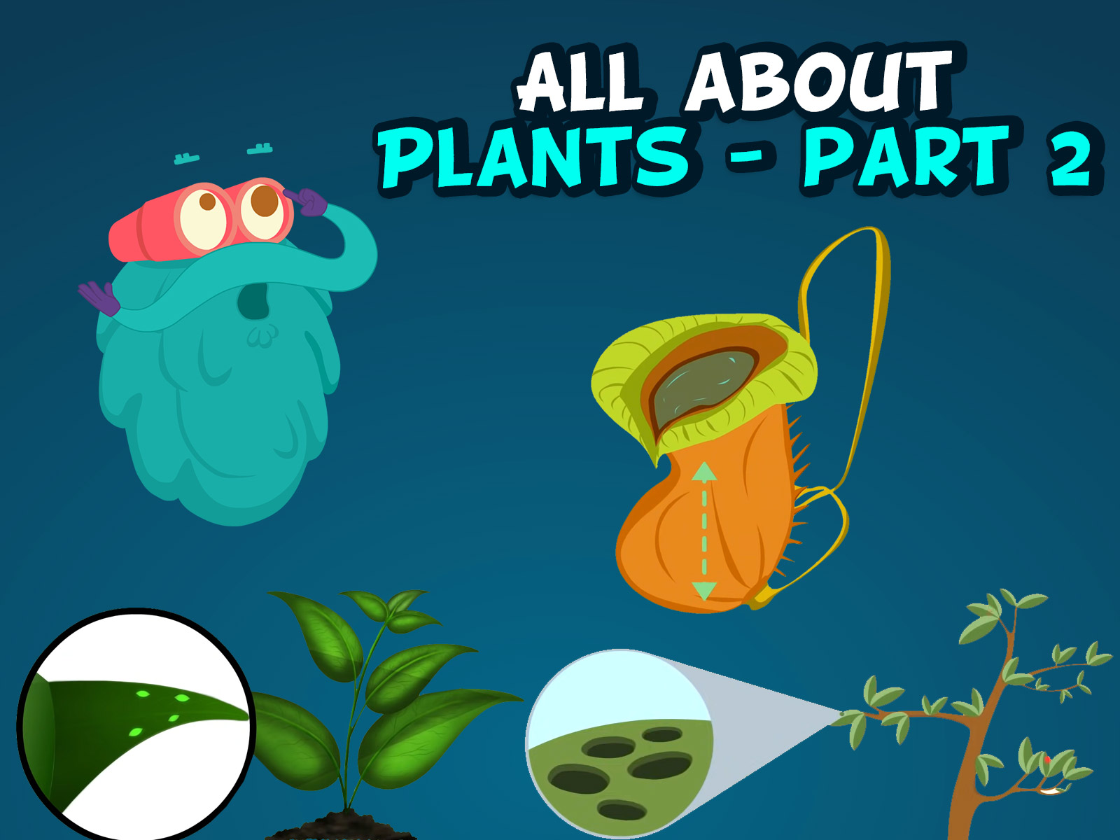 Prime Video: Learn With Dr. Binocs