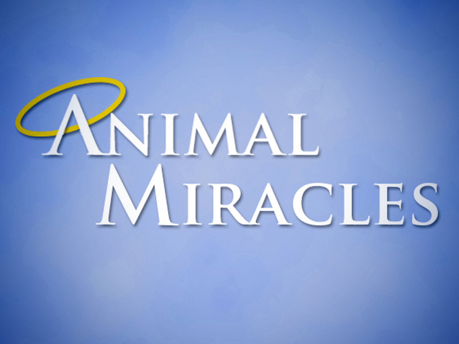 Prime Video: Animal Miracles