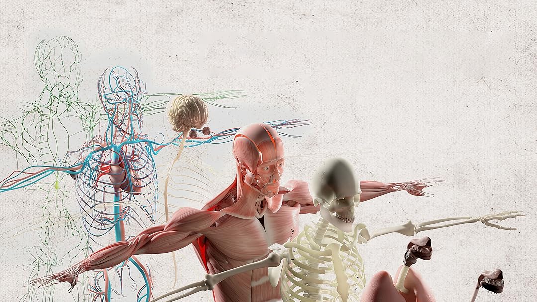 Prime Video: The Beauty of Anatomy - Season 1