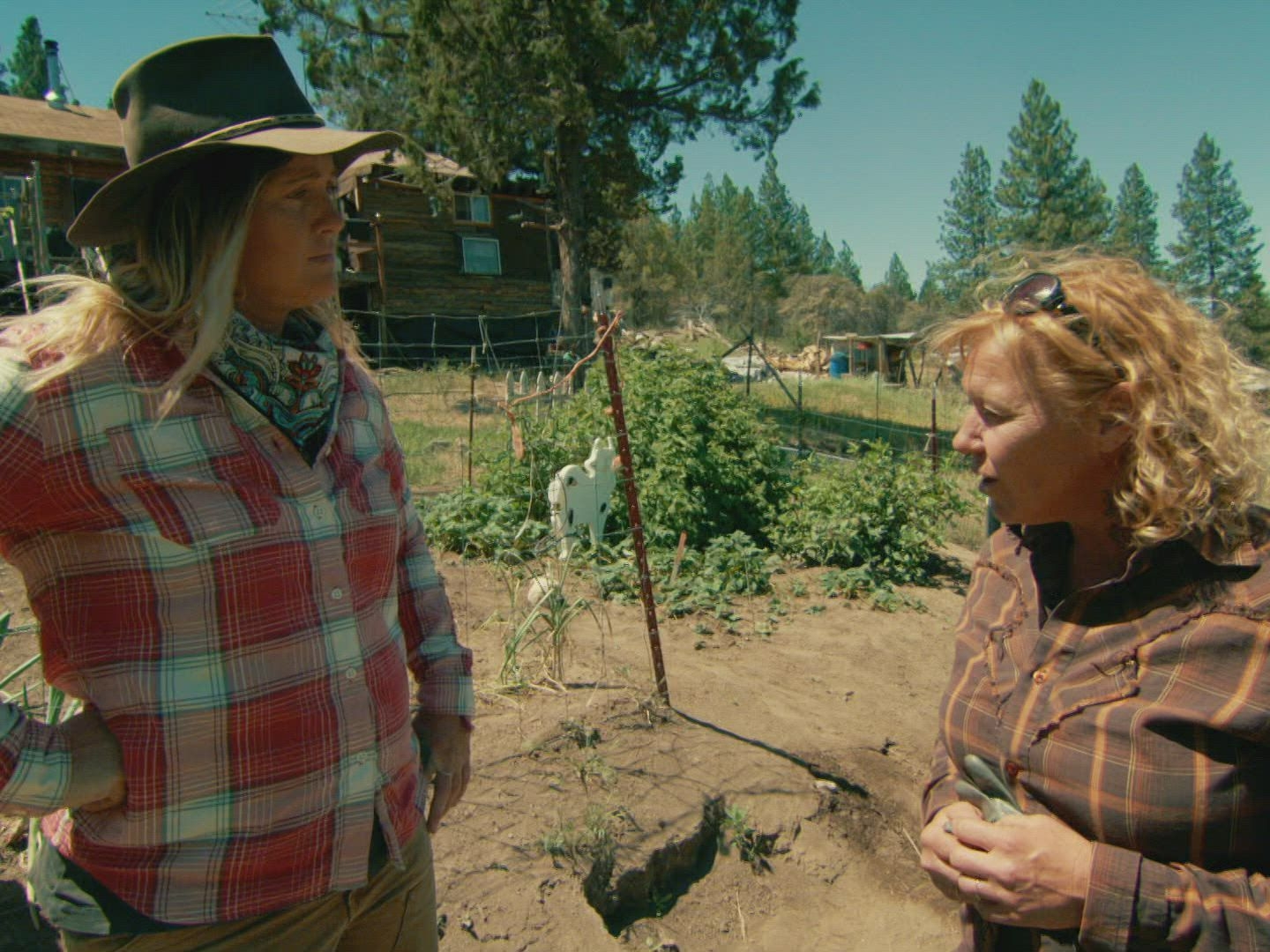 Prime Video: Homestead Rescue - Season 2