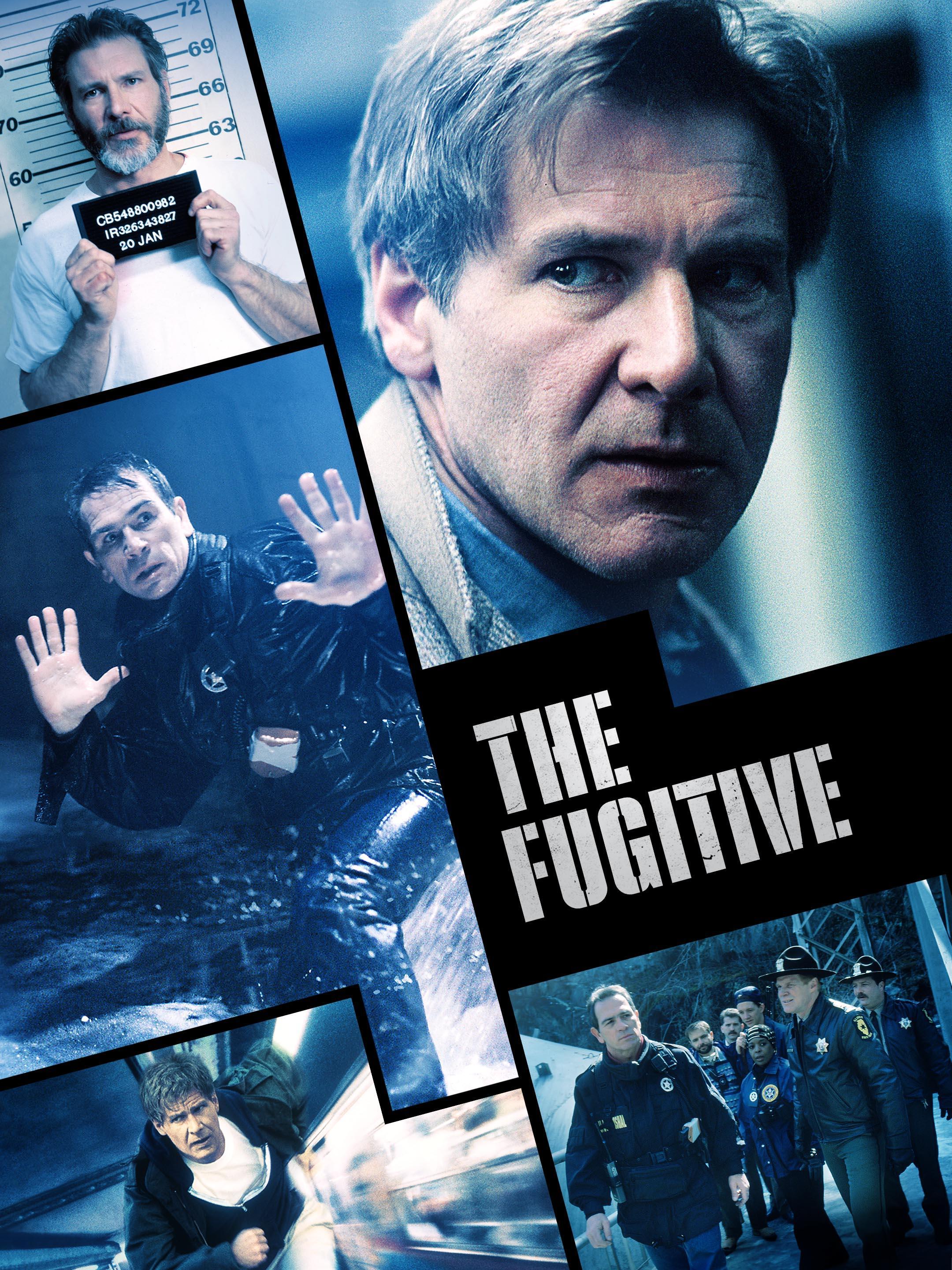 Prime Video: The Fugitive