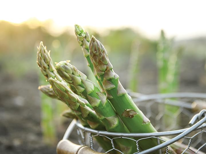 Prime Video: The Botanist's Eye: Identifying the Plants around You