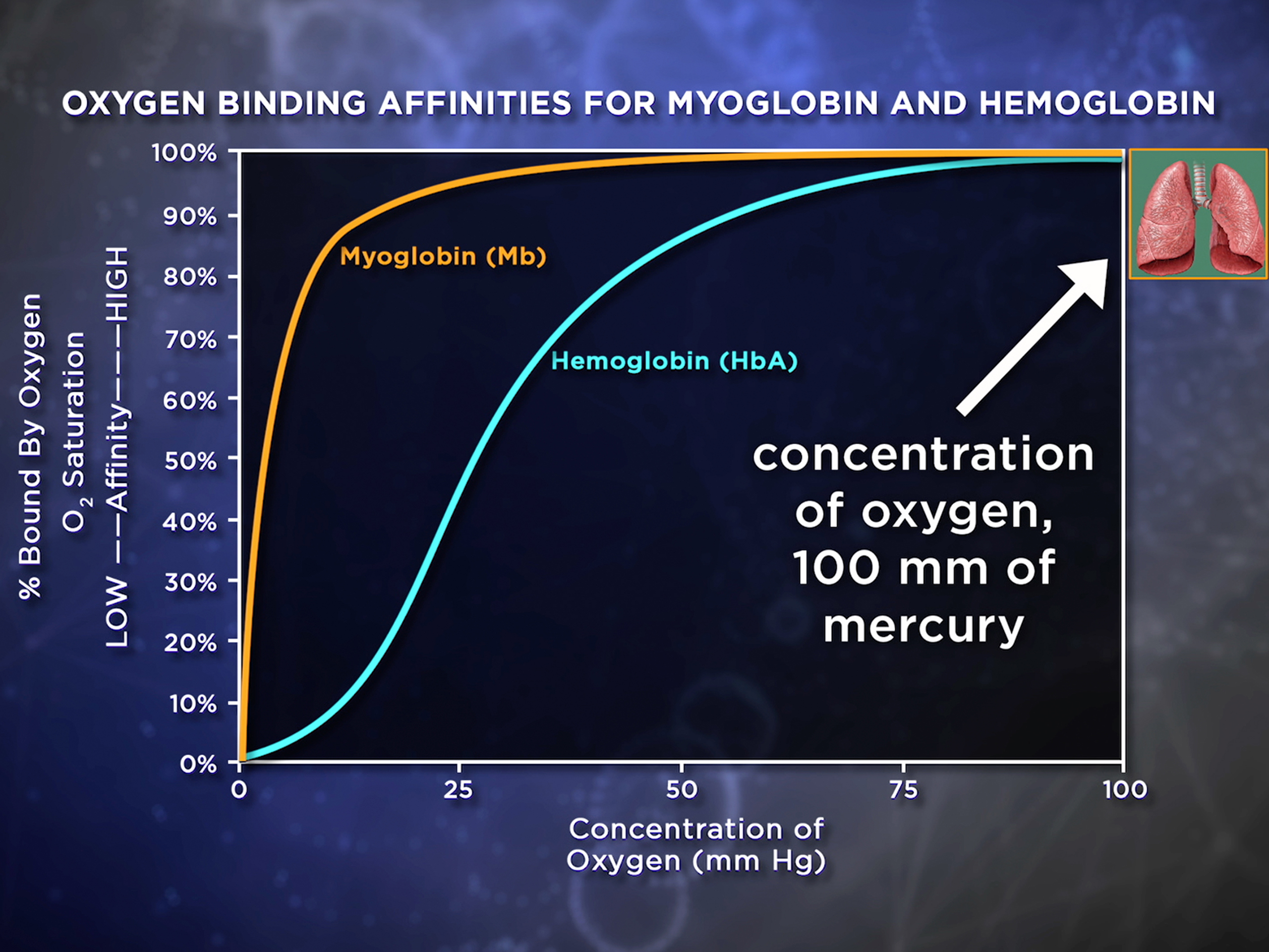 Prime Video: Biochemistry and Molecular Biology: How Life Works